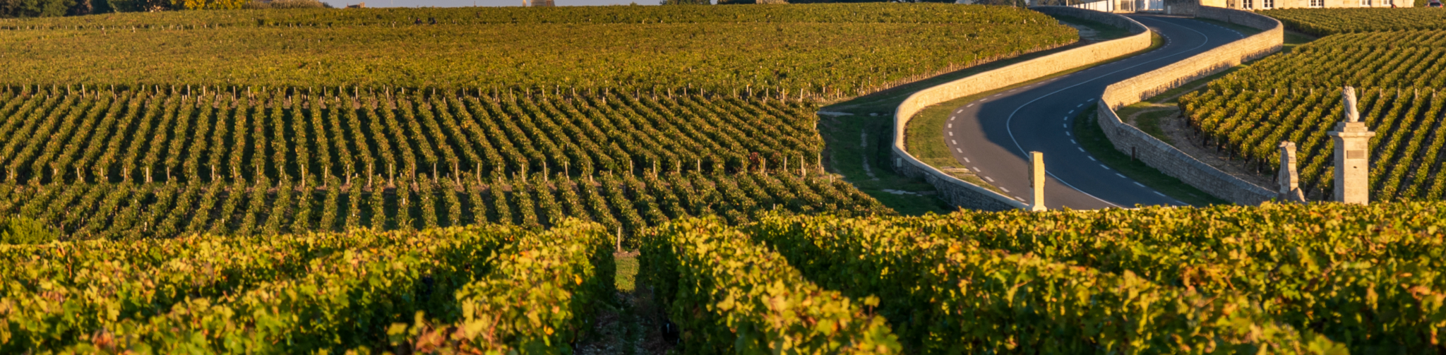 Routes du vin insolites : découvrir des vignobles méconnus mais d ...